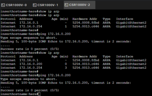 5種類あるARPについて解説(ARP, GARP, RARP, Proxy-ARP, Local Proxy-ARP)
